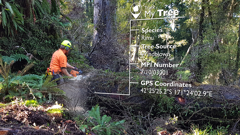 Track my Tree | Prime Panels